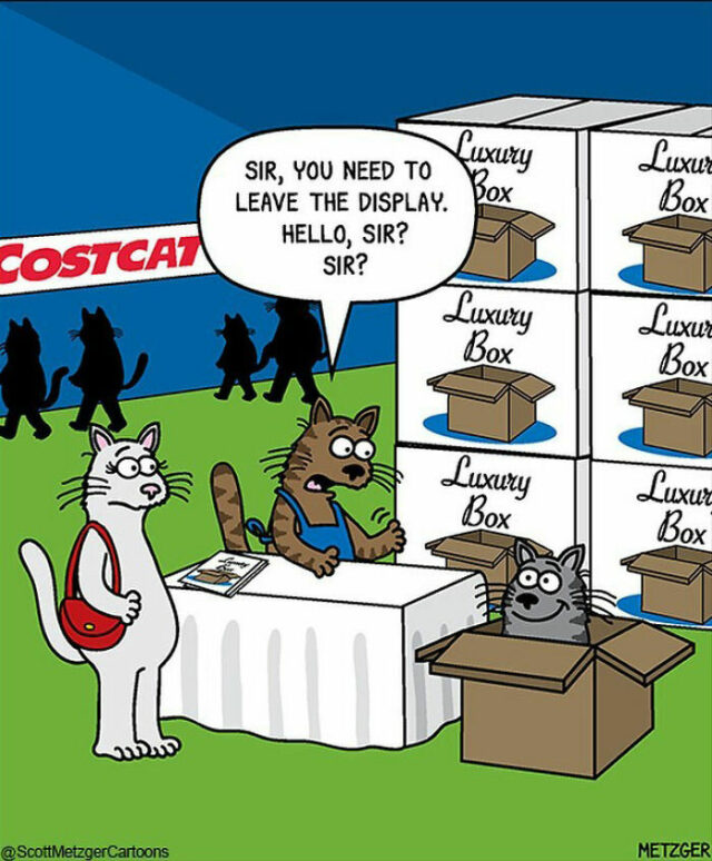 35 Single-Panel Comics Immortalizing The Charm Of Cats And Dogs ...