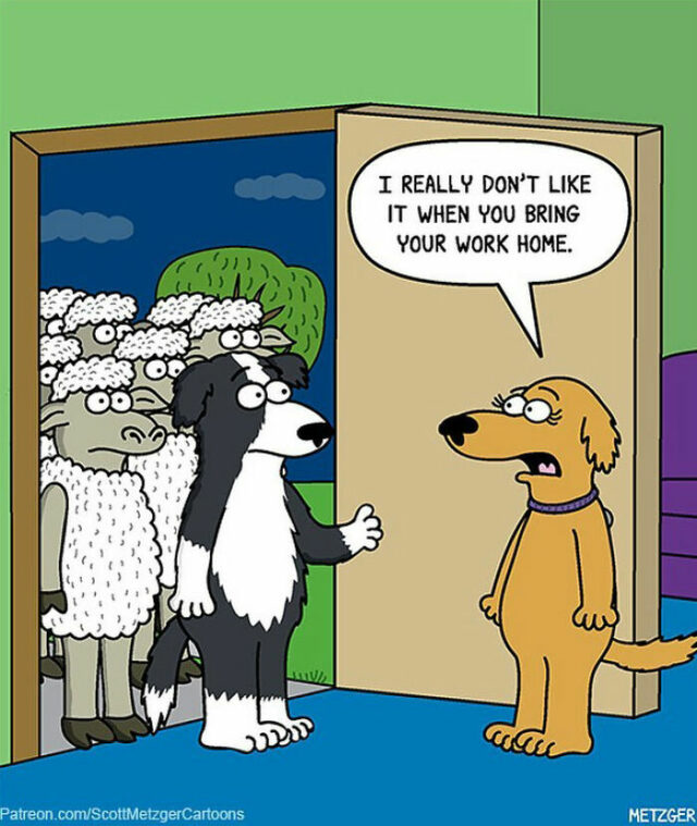 35 Single-Panel Comics Immortalizing The Charm Of Cats And Dogs ...