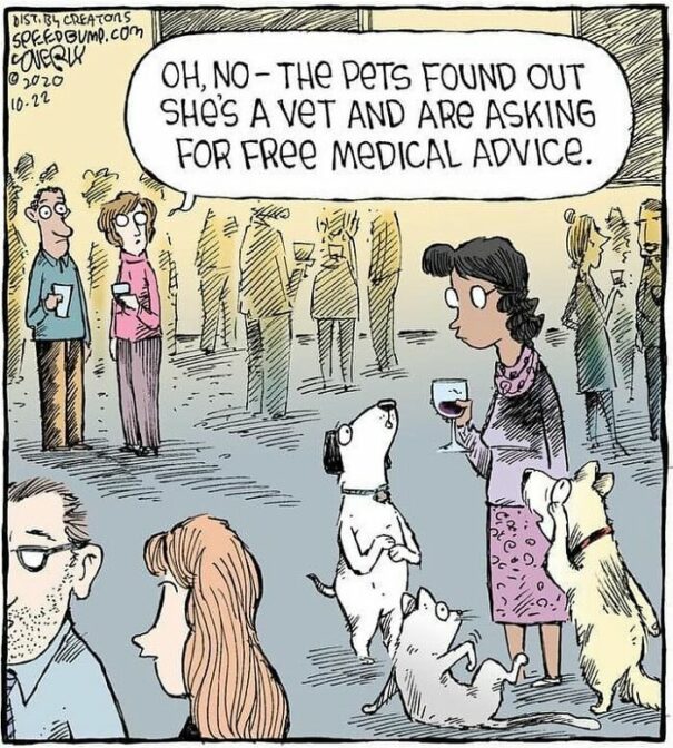20 Witty One-Panel Comics That Reflect On Funny Snapshots Of Existence ...