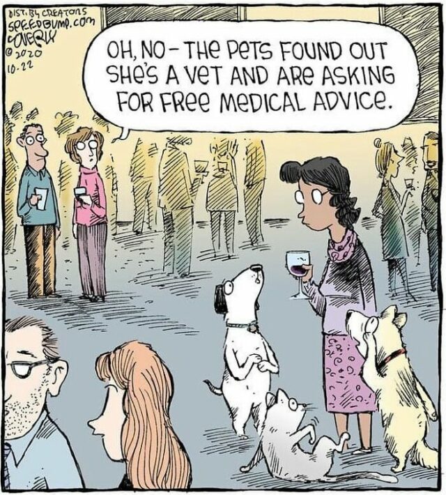 20 Witty One-Panel Comics That Reflect On Funny Snapshots Of Existence ...