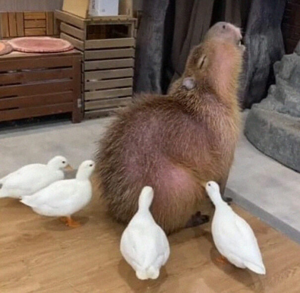 35 Funny And Weird Photos From The "Out Of Context 2.0" Facebook Page ...