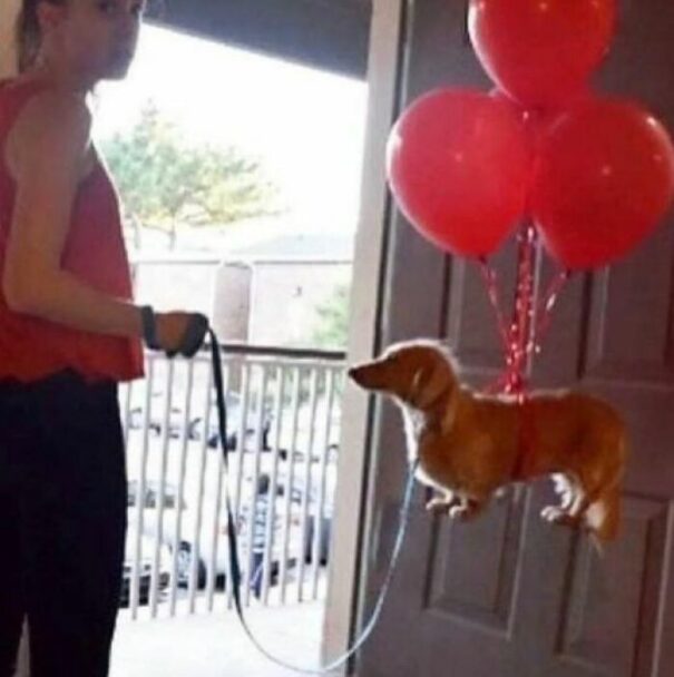 35 Funny And Weird Photos From The "Out Of Context 2.0" Facebook Page ...
