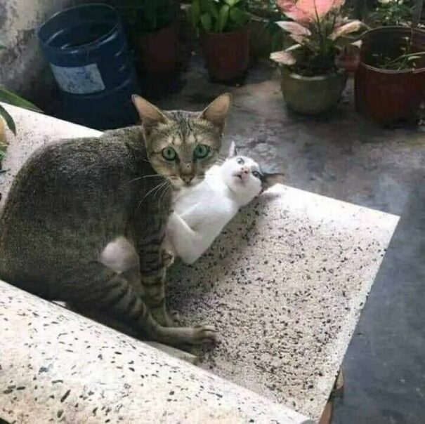 35 Funny And Weird Photos From The "Out Of Context 2.0" Facebook Page ...