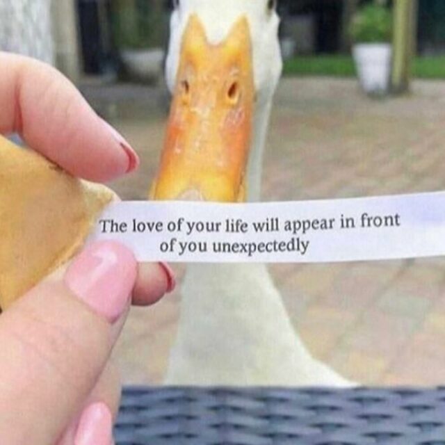 40 Peculiar Memes That May Lighten The Mood | DeMilked