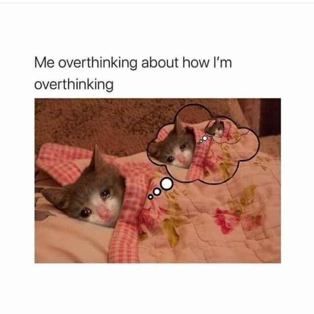 35 Hilarious Memes That Got Featured On "The Funny Introvert" Instagram ...
