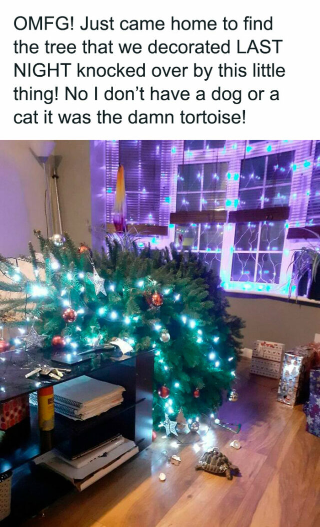 45 People Who Had A Funny Bad Day | DeMilked