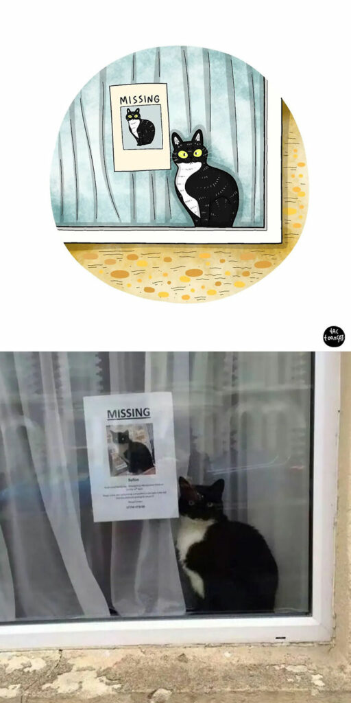 25 Times This Artist Created Funny Illustrations Inspired By Viral Cat