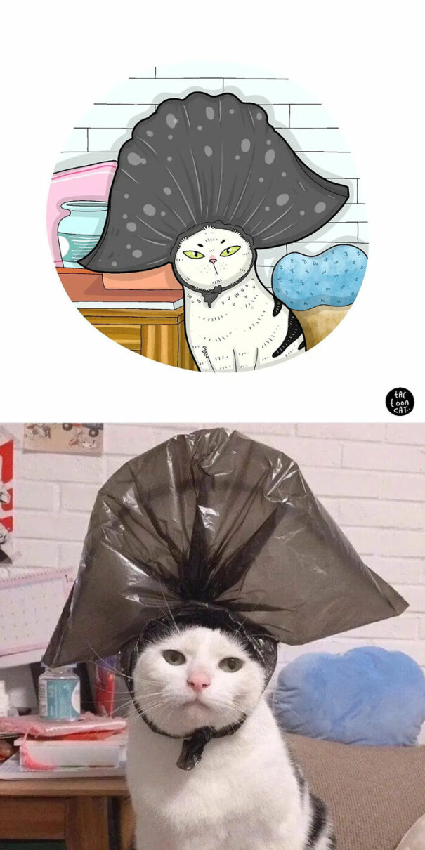 25 Times This Artist Created Funny Illustrations Inspired By Viral Cat ...