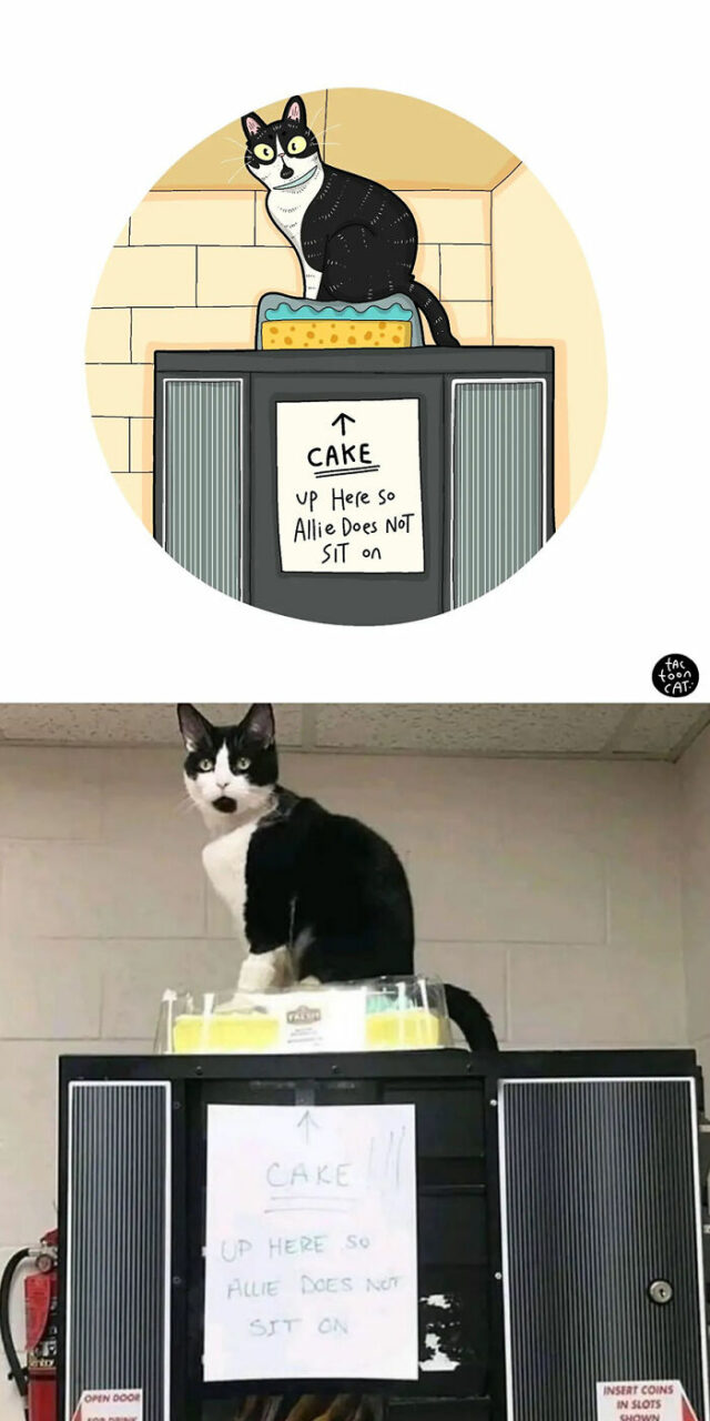 25 Times This Artist Created Funny Illustrations Inspired By Viral Cat ...