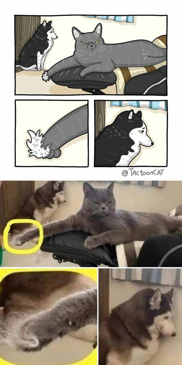 25 Times This Artist Created Funny Illustrations Inspired By Viral Cat ...