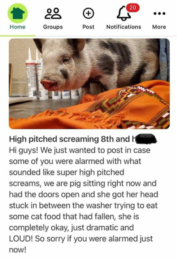 40 Wholesome Neighbours That Are A Pleasure To Live Next To | DeMilked