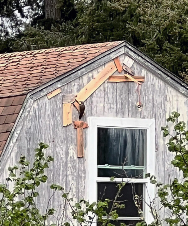 40 Wholesome Neighbours That Are A Pleasure To Live Next To | DeMilked