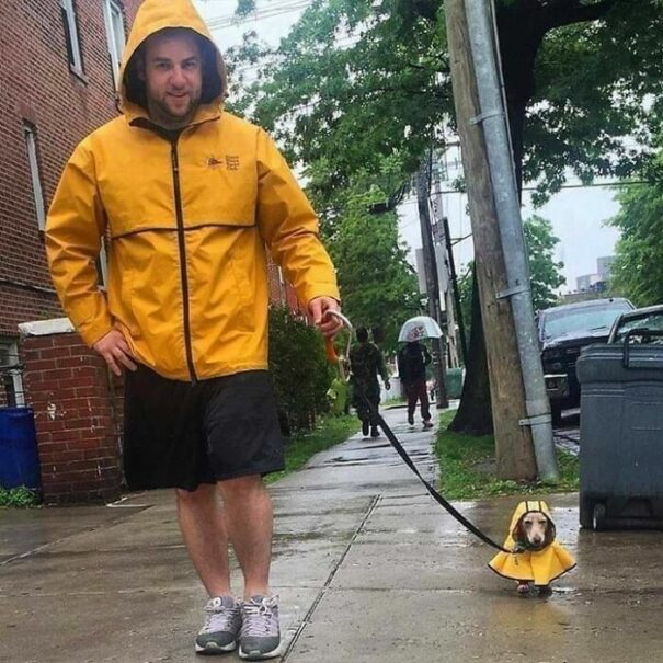 42 Undeniably "Important Animal Images" That You Have To See | DeMilked
