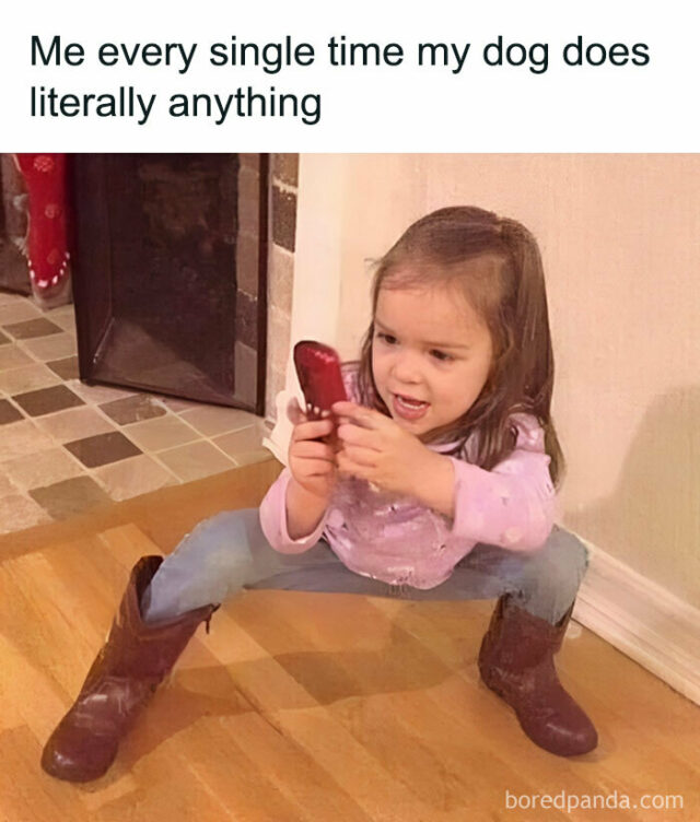 40 Funny Memes From The “Laughing At My Own Memes” Page | DeMilked