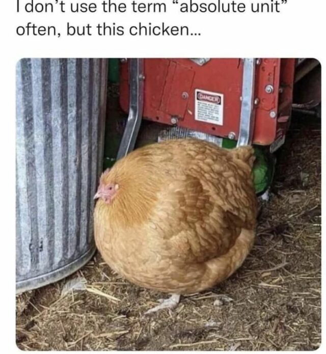40 Funny Memes From The “Laughing At My Own Memes” Page | DeMilked