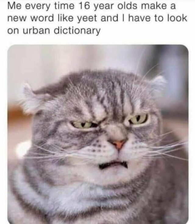 40 Funny Memes From The “Laughing At My Own Memes” Page | DeMilked