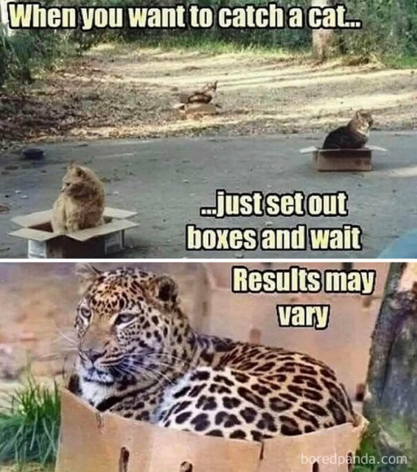 40 Funny Memes From The “Laughing At My Own Memes” Page | DeMilked