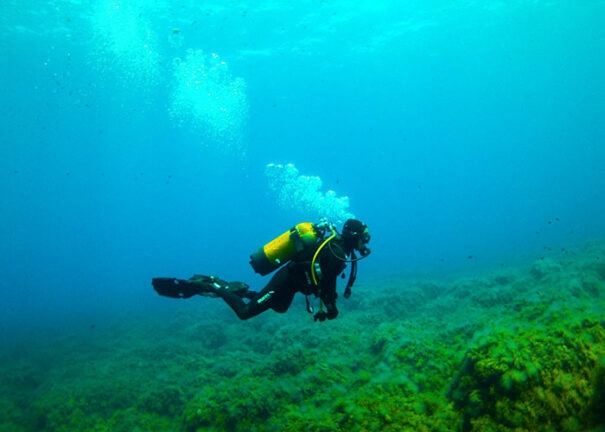 35 Little-Known Facts About Random Things In Our World | DeMilked