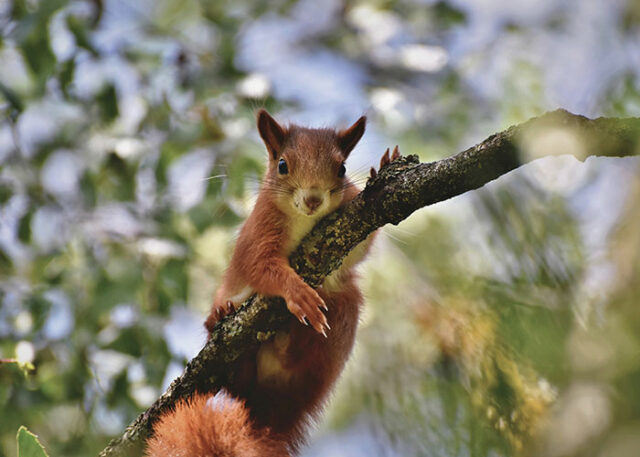 35 Little-Known Facts About Random Things In Our World | DeMilked