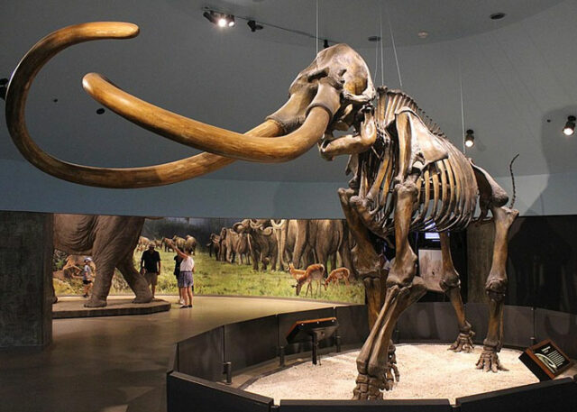 35 Little-Known Facts About Random Things In Our World | DeMilked