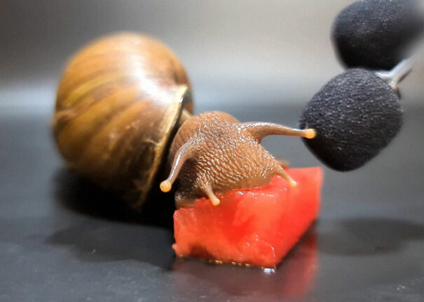 35 Little-Known Facts About Random Things In Our World | DeMilked