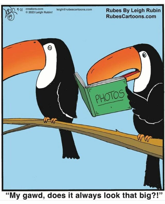 25 Comics By Leigh Rubin That Depict Ridiculously Funny Situations ...