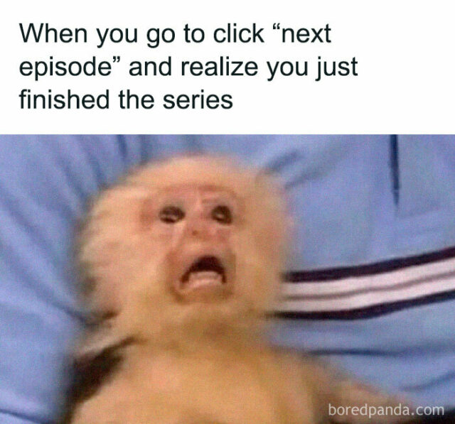 40 Funny Memes From 'Meme Goates’ | DeMilked