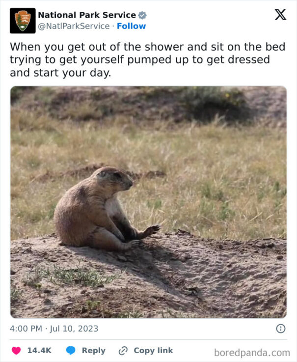 35 Of The Funniest Posts From The Viral National Park Service Page On X ...