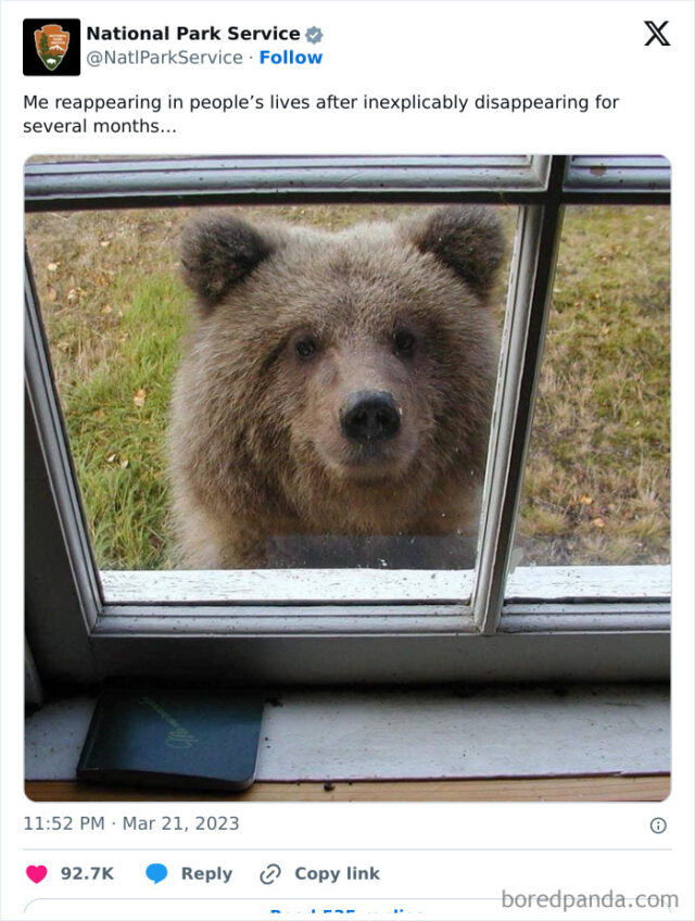 35 Of The Funniest Posts From The Viral National Park Service Page On X ...