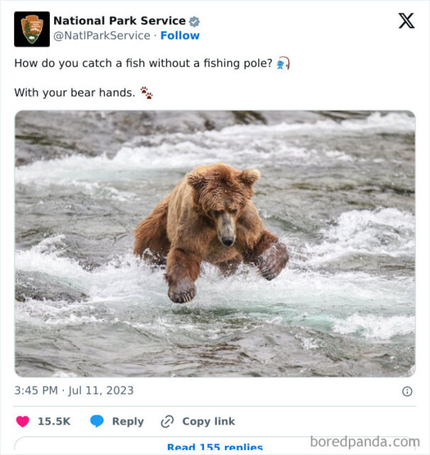 35 Of The Funniest Posts From The Viral National Park Service Page On X ...
