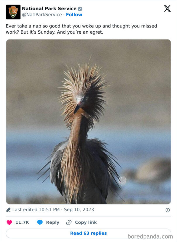 35 Of The Funniest Posts From The Viral National Park Service Page On X ...