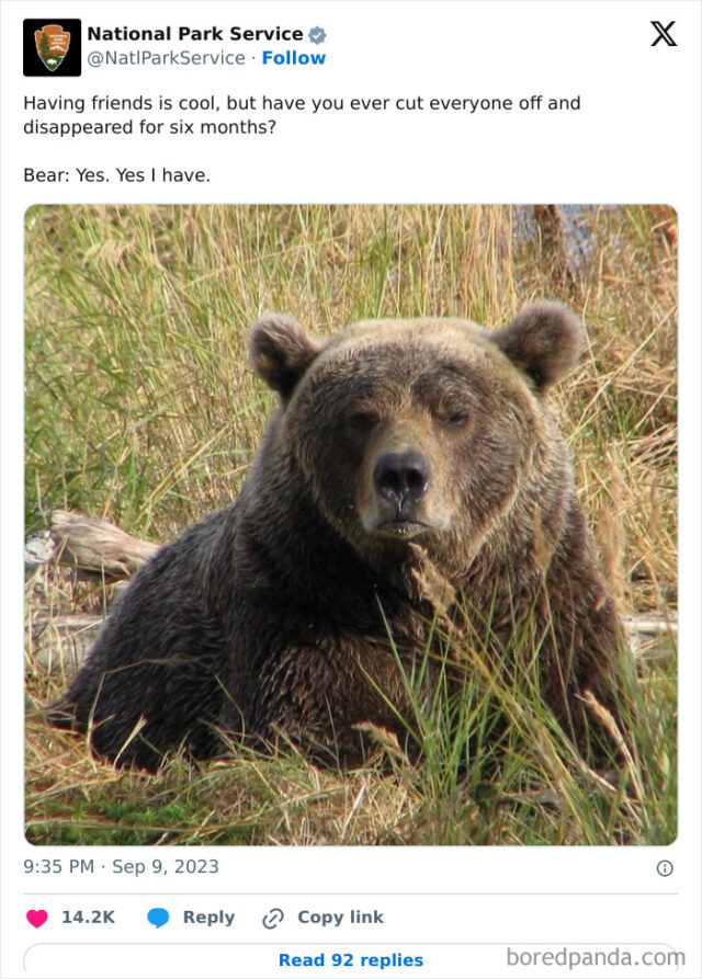 35 Of The Funniest Posts From The Viral National Park Service Page On X ...