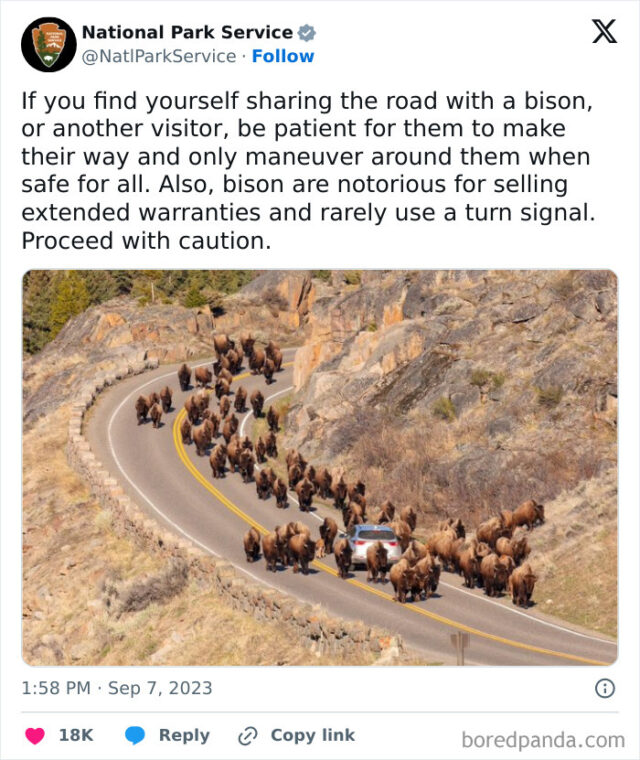 35 Of The Funniest Posts From The Viral National Park Service Page On X ...