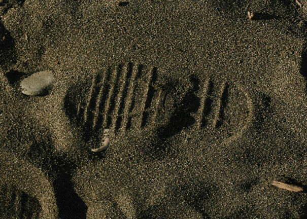 25 Surprising Facts That Sound Suspicious But Are True | DeMilked