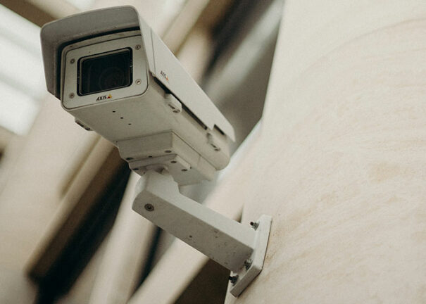 25 Surprising Facts That Sound Suspicious But Are True | DeMilked