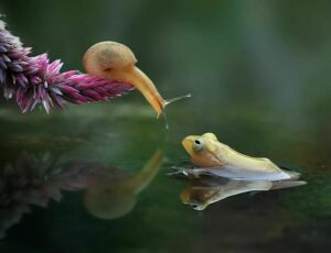 25 Times This Photographer Shared Up-Close Photos Of Cold-Blooded ...