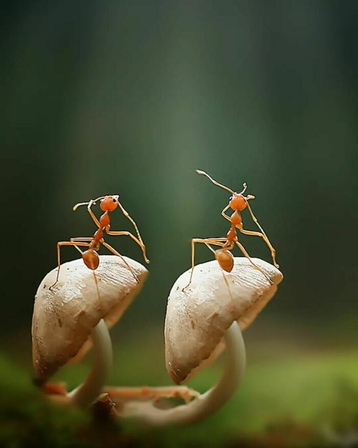 25 Times This Photographer Shared Up-Close Photos Of Cold-Blooded ...