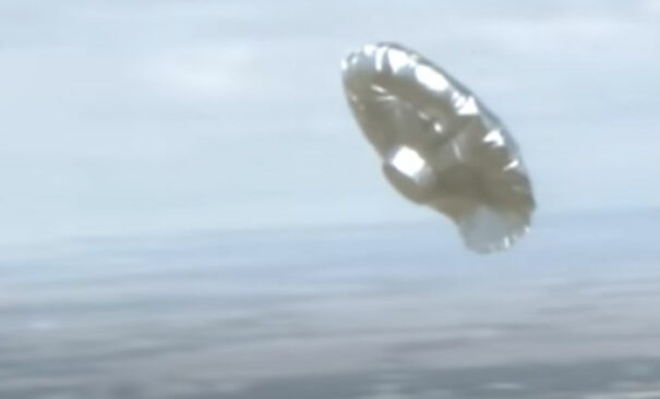 25 Of The Wildest And Scariest Things People Have Seen On Live TV ...