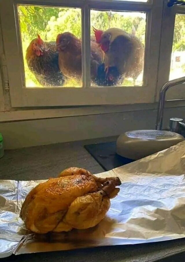 "Pics That Go Hard": 25 Confusing Images That Might Make You Question ...