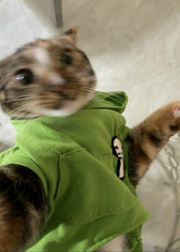 "Pics That Go Hard": 25 Confusing Images That Might Make You Question ...