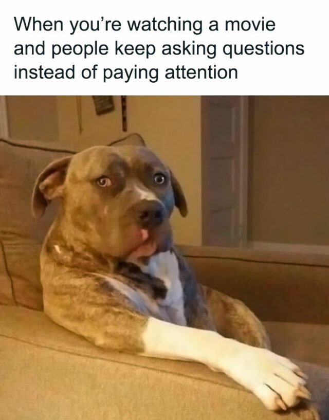 "Pics That Go Hard": 25 Confusing Images That Might Make You Question ...