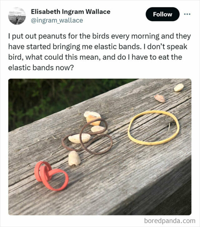 30 Times People Shared Touching And Wholesome Posts That Made Others ...