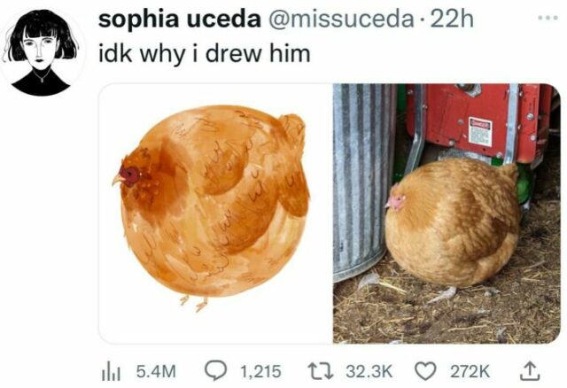 35 Round And Snuggly Creatures You Can't Resist Admiring | DeMilked