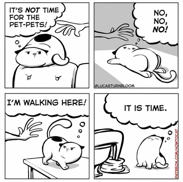 30 Funny Comics Every Cat Owner Can Purr-fectly Relate To | DeMilked