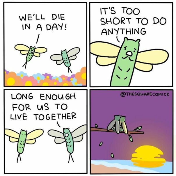 25 Funny Comics By "Square Comics" That Dark Humor Lovers Might Enjoy ...