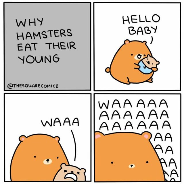 25 Funny Comics By "Square Comics" That Dark Humor Lovers Might Enjoy | DeMilked