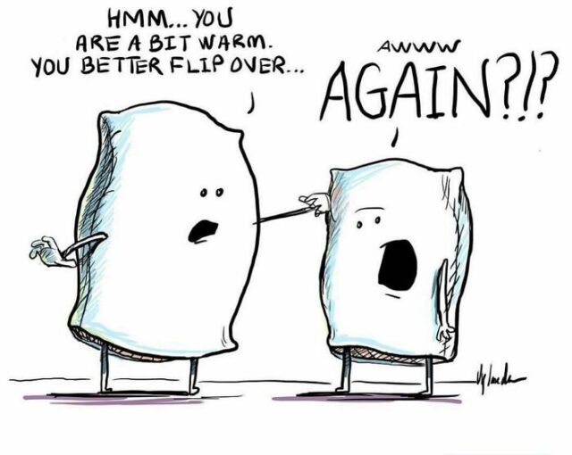 20 Random But Hilarious Comics About Everyday Objects, By "The Daily ...