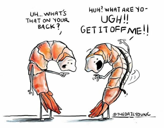 20 Random But Hilarious Comics About Everyday Objects, By "The Daily ...