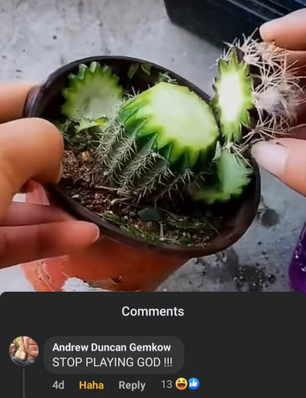 30 Funny Jokes You Might Love If You Have A Twisted Sense Of Humor ...