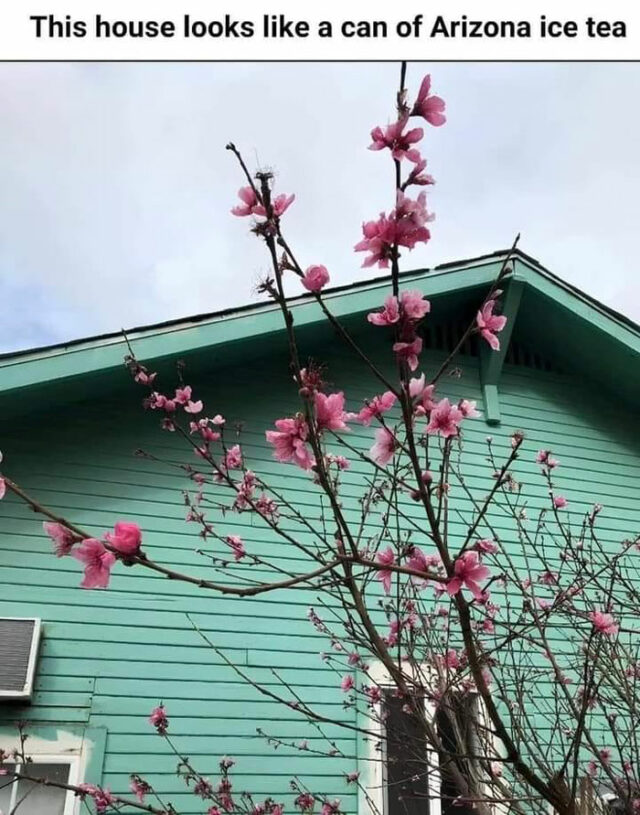 30 Funny Jokes You Might Love If You Have A Twisted Sense Of Humor ...